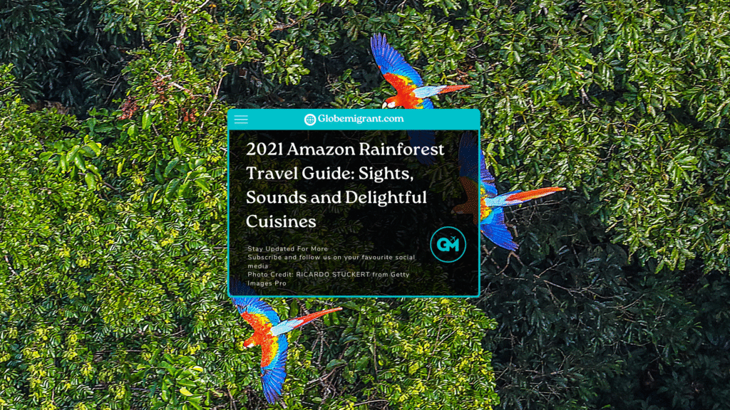 2021 Amazon Rainforest Travel Guide: Sights, Sounds and Delightful ...